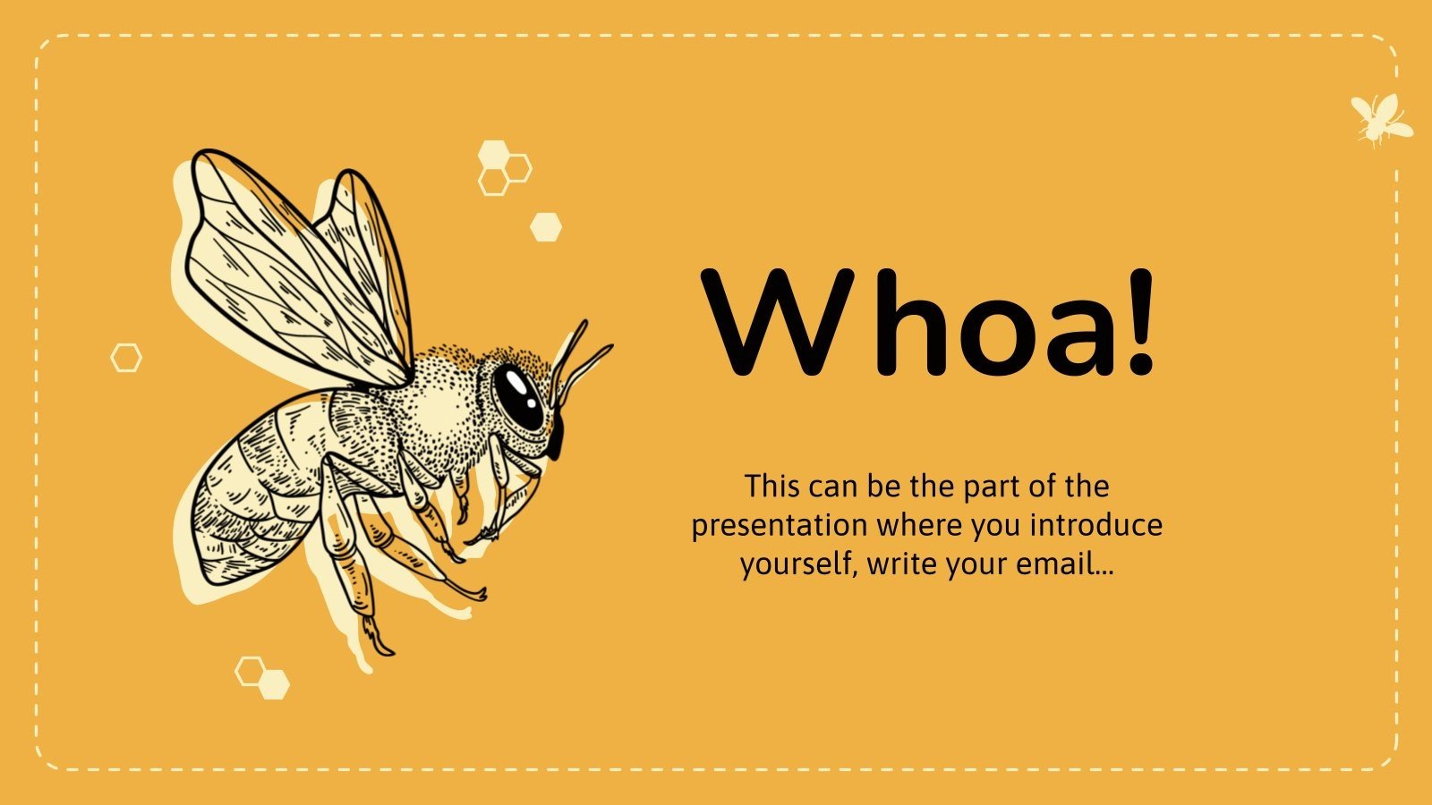 Die Welt der Bienen Präsentation