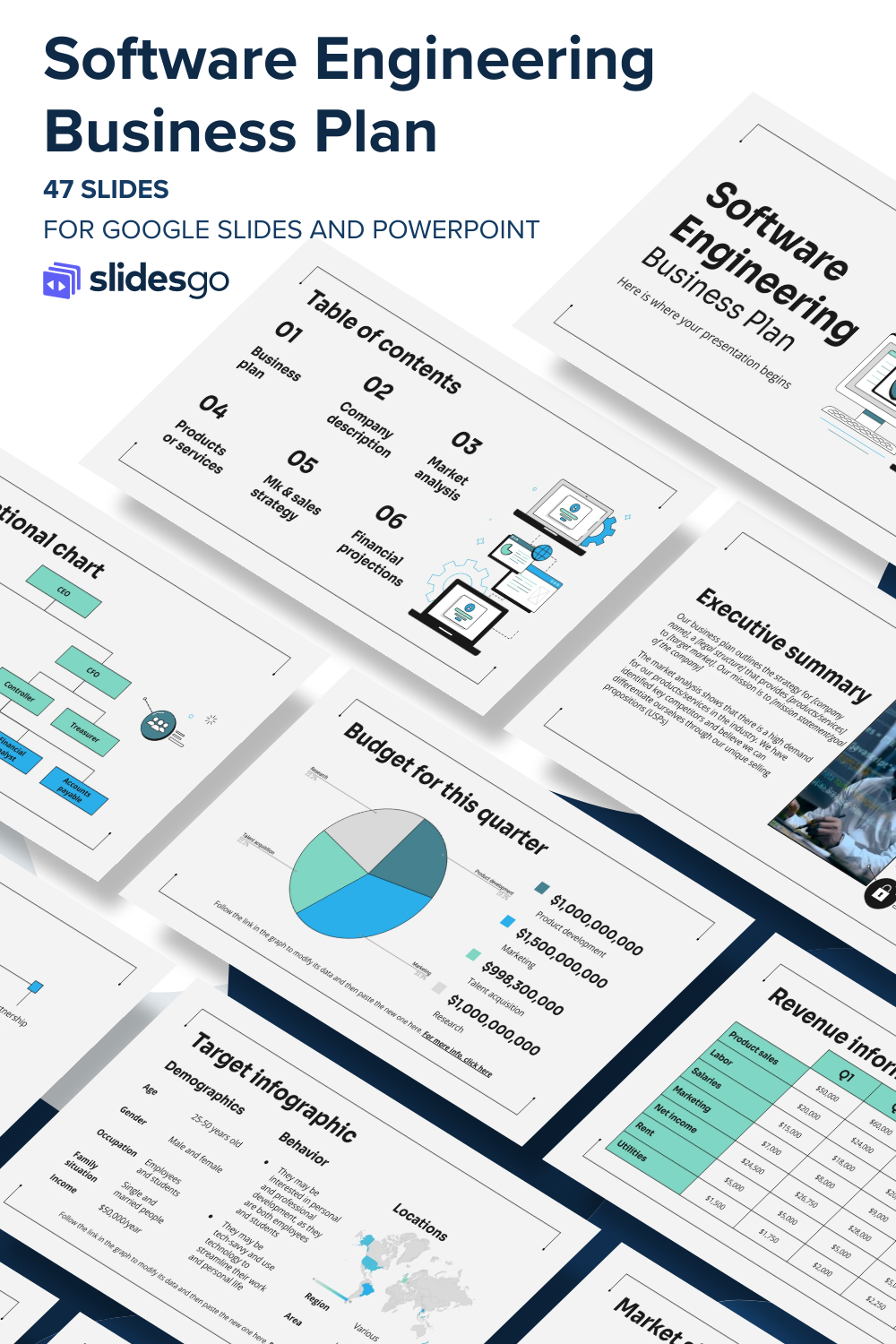 Software Engineering Business Plan Presentation