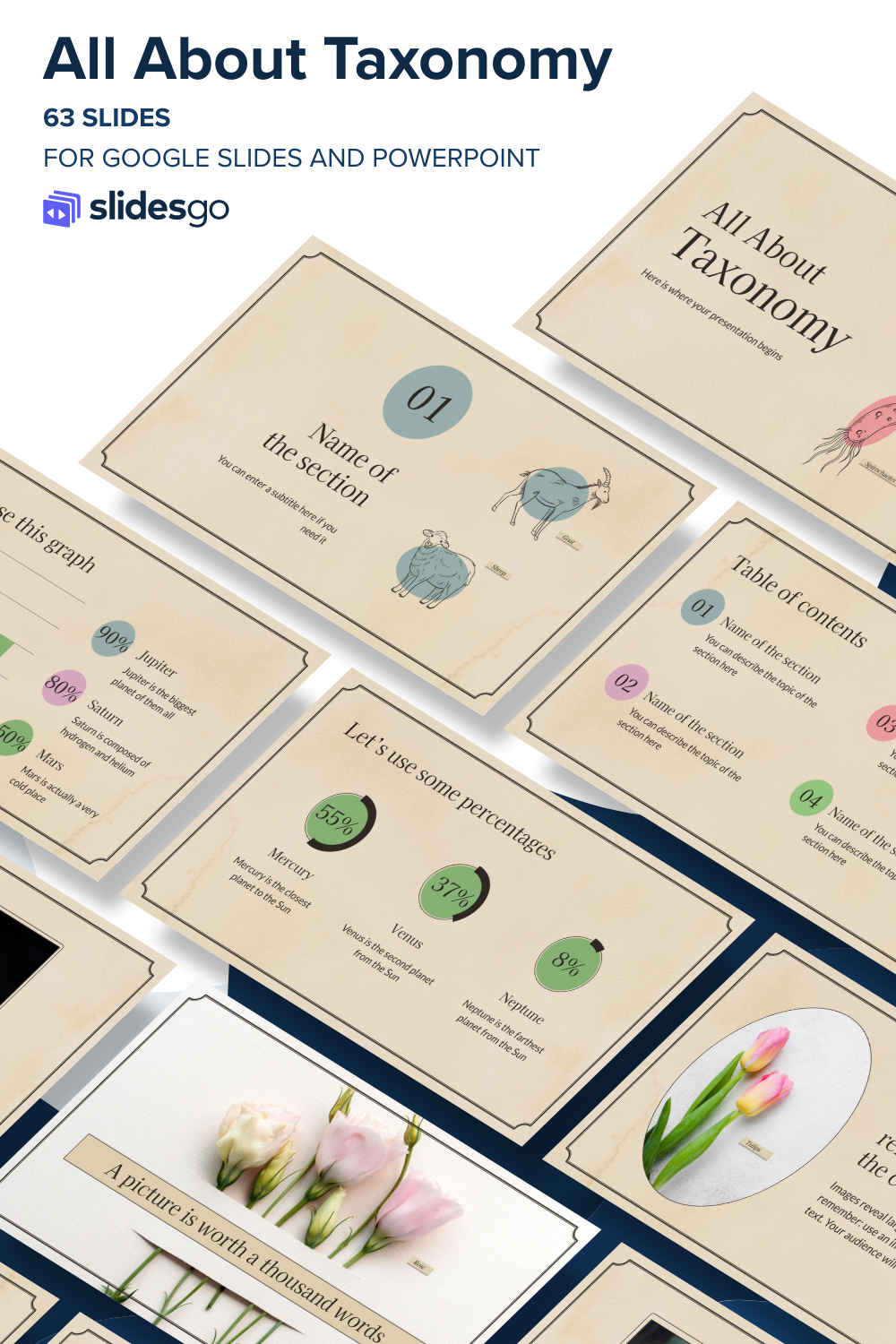 All About Taxonomy - Presentation