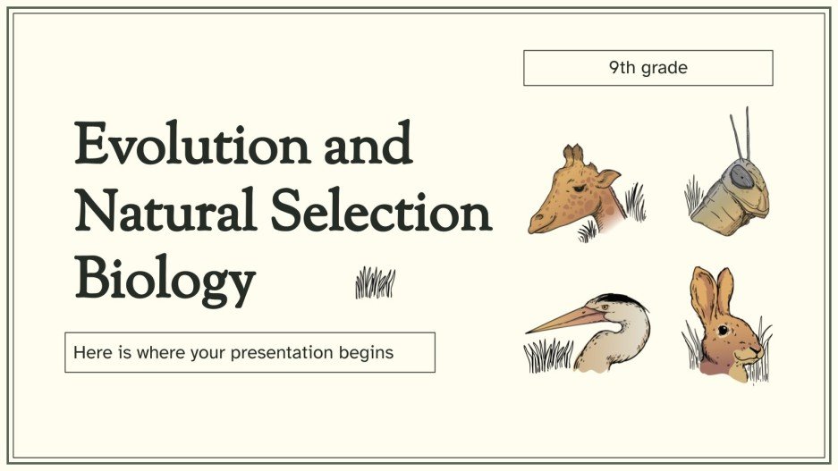 Evolution and Natural Selection - Biology - 9th Grade