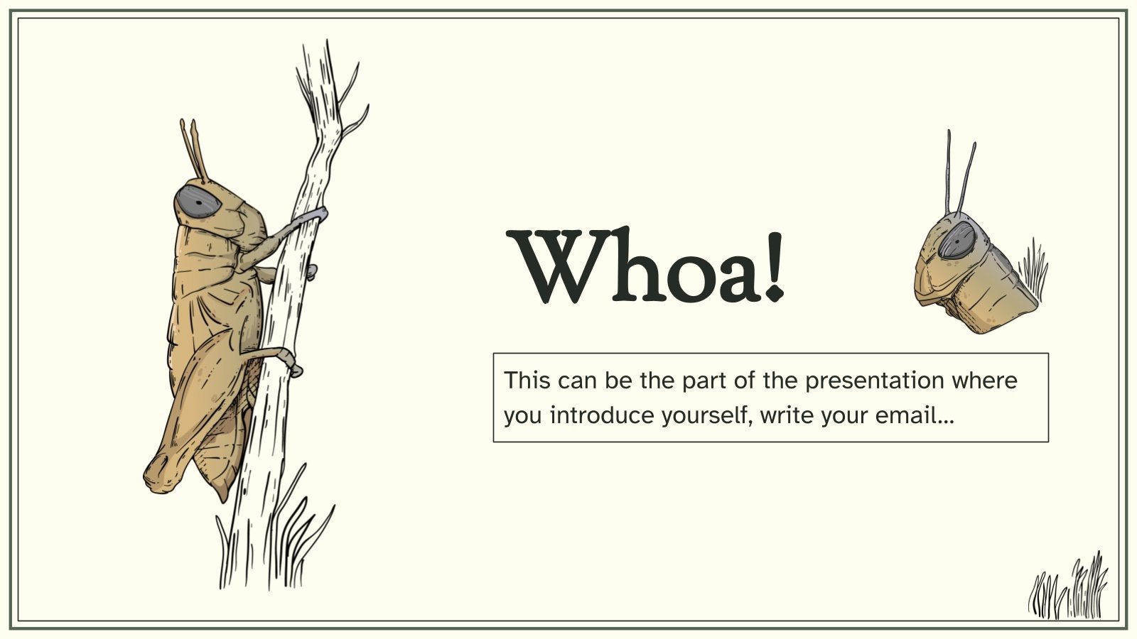 Evolution and Natural Selection - Biology - 9th Grade