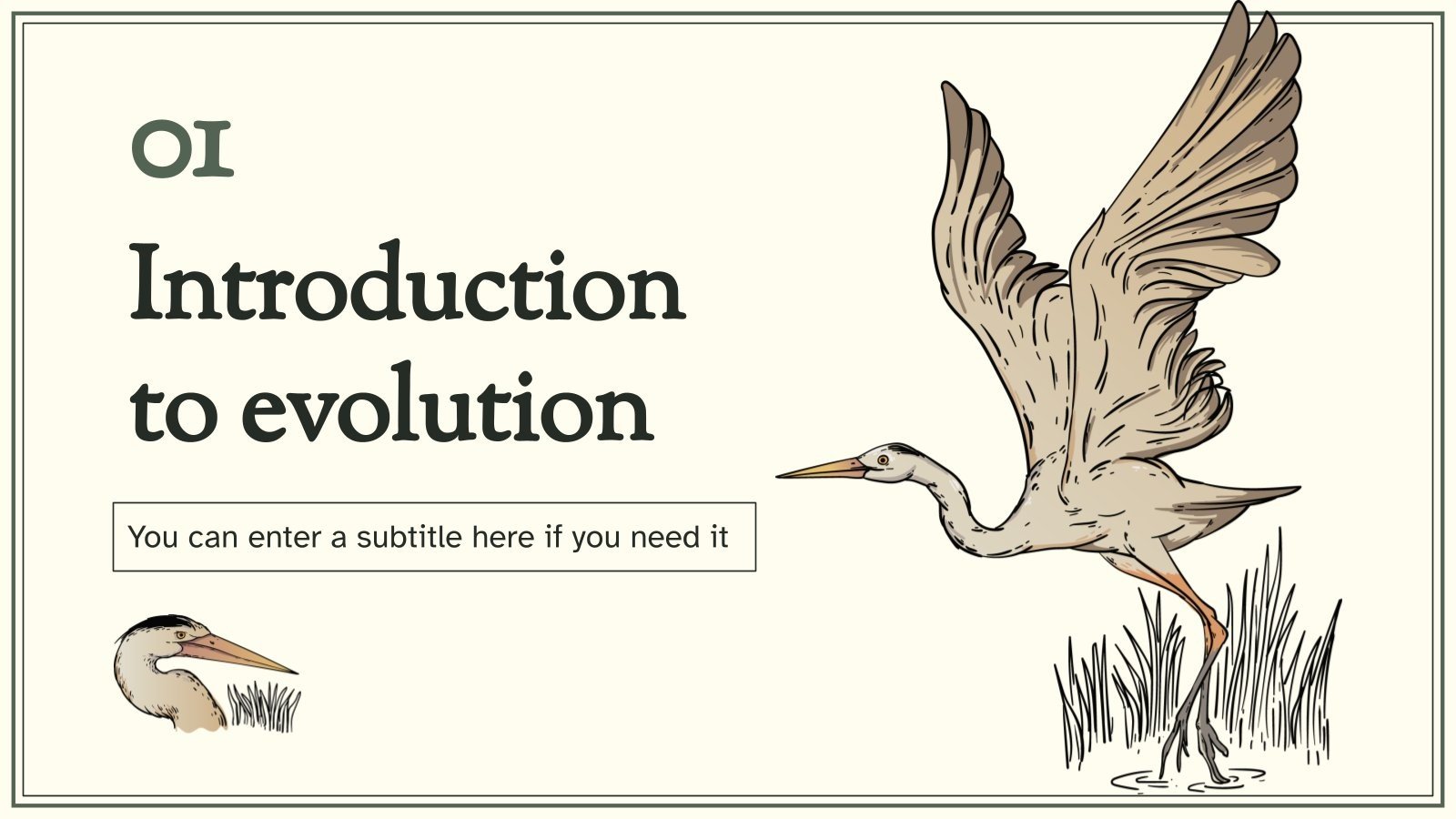 Evolution and Natural Selection - Biology - 9th Grade