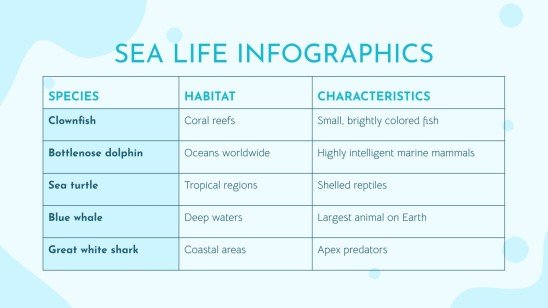 Sea Life Infographics Template