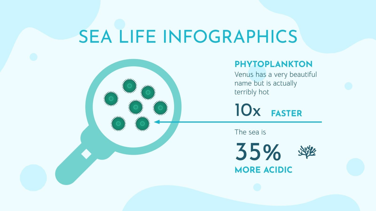 Sea Life Infographics Template