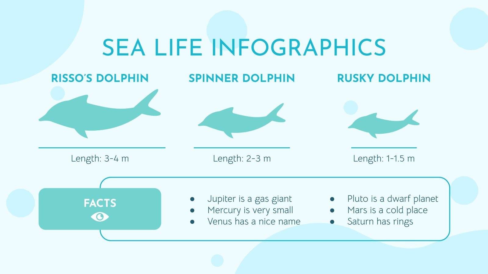 Sea Life Infographics Template