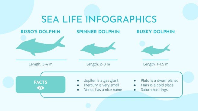 Sea Life Infographics Template