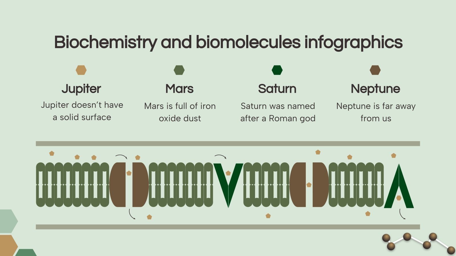 Biochemistry and Biomolecules- 9th Grade Infographics