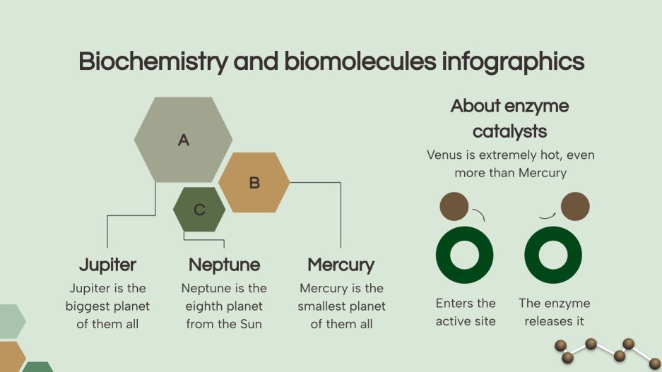 Biochemistry and Biomolecules- 9th Grade Infographics