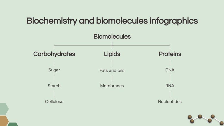 Biochemistry and Biomolecules- 9th Grade Infographics