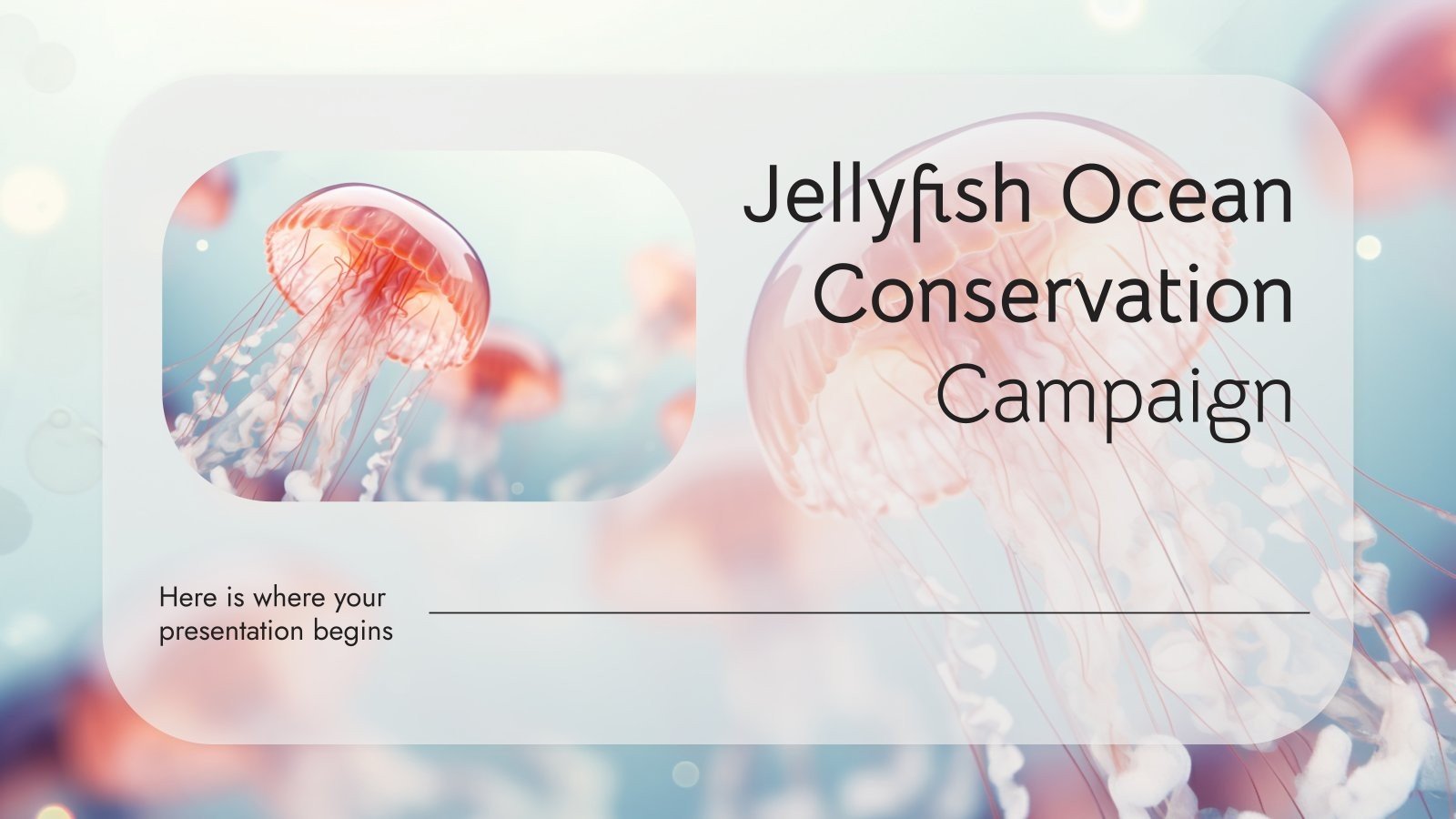 Jellyfish Ocean Conservation Campaign Presentation