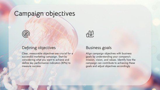 Jellyfish Ocean Conservation Campaign Presentation