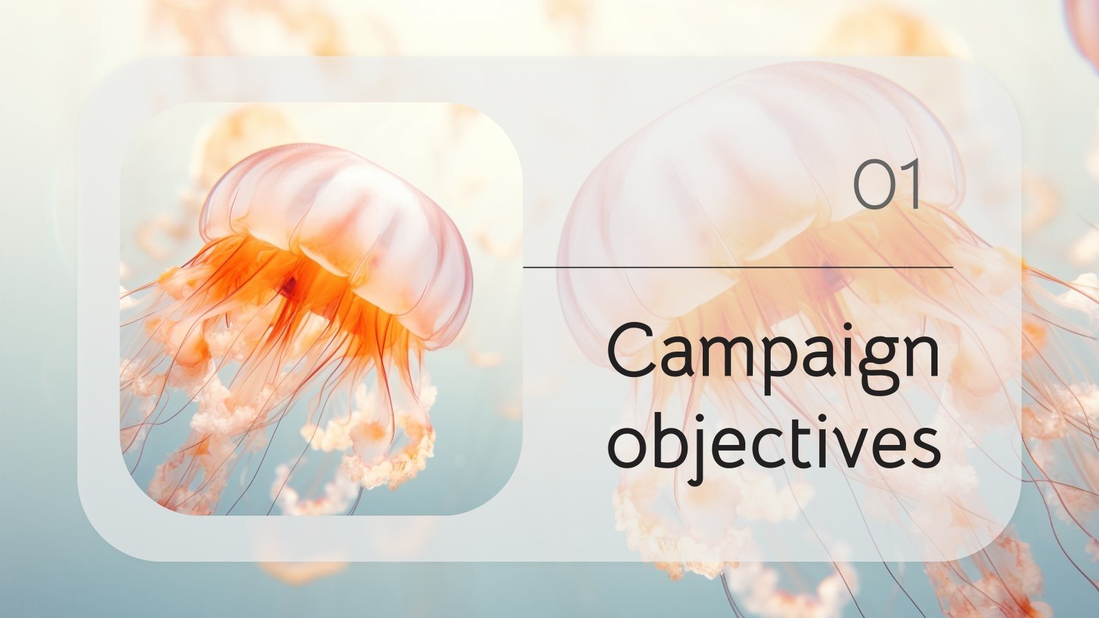 Jellyfish Ocean Conservation Campaign Presentation