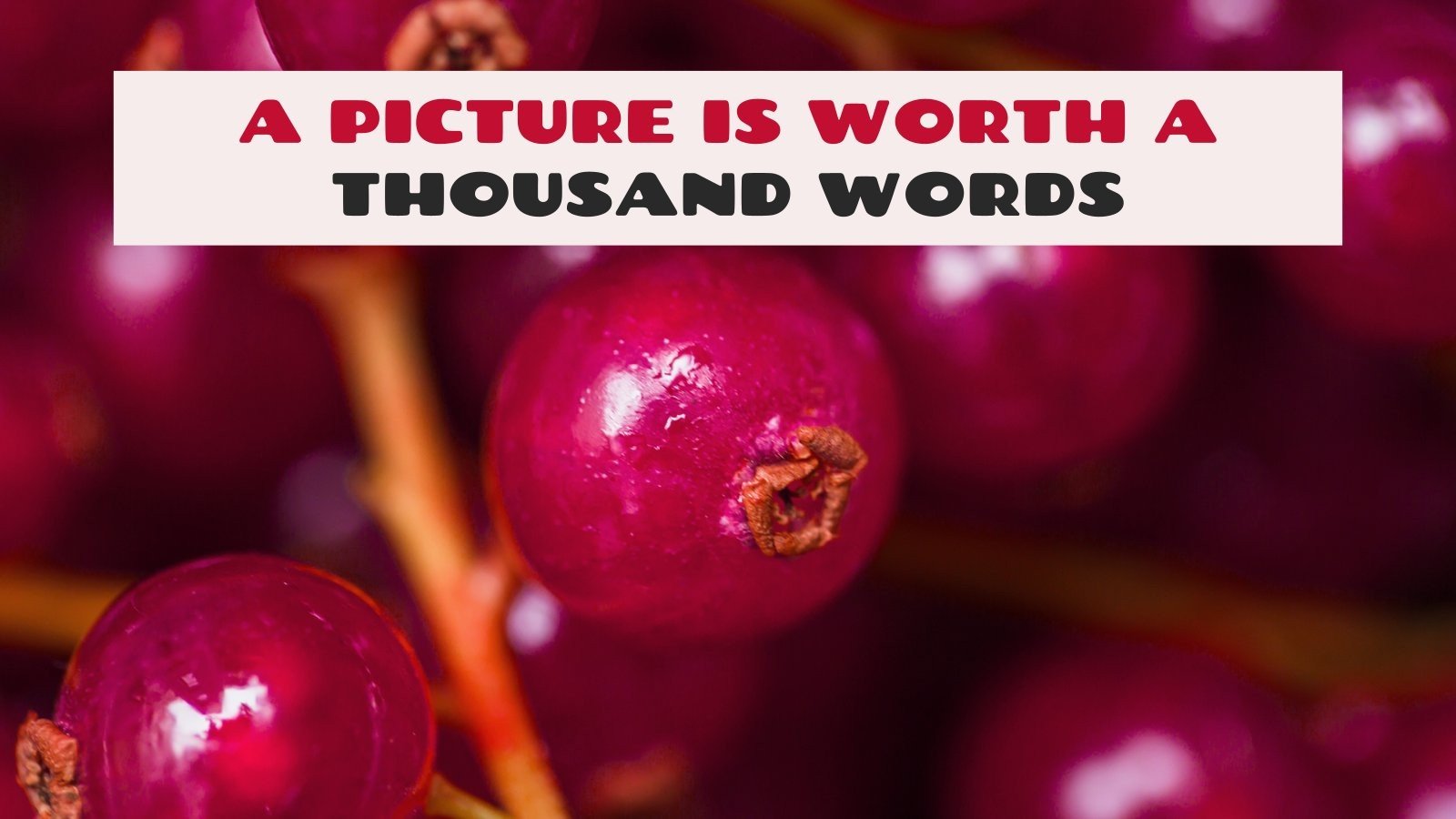 Crimson Cherry Business Basic Template