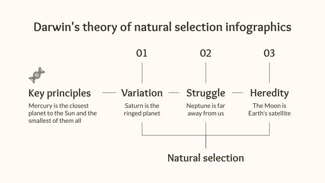 Biology Darwins Theory Of Natural Selection Infographics