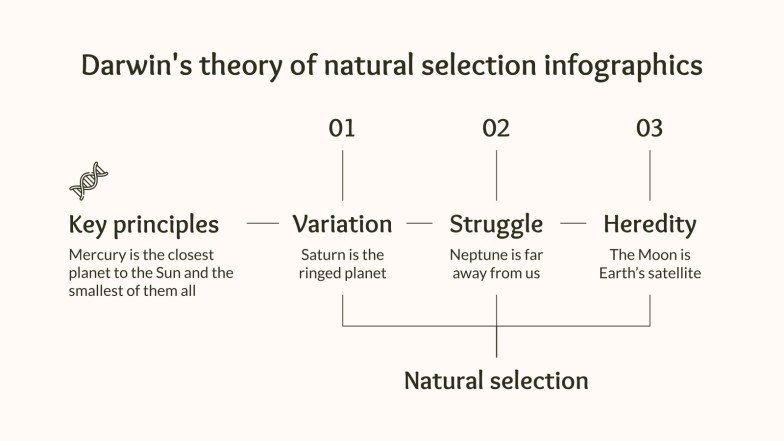 Biology: Darwin's Theory of Natural Selection Infographics