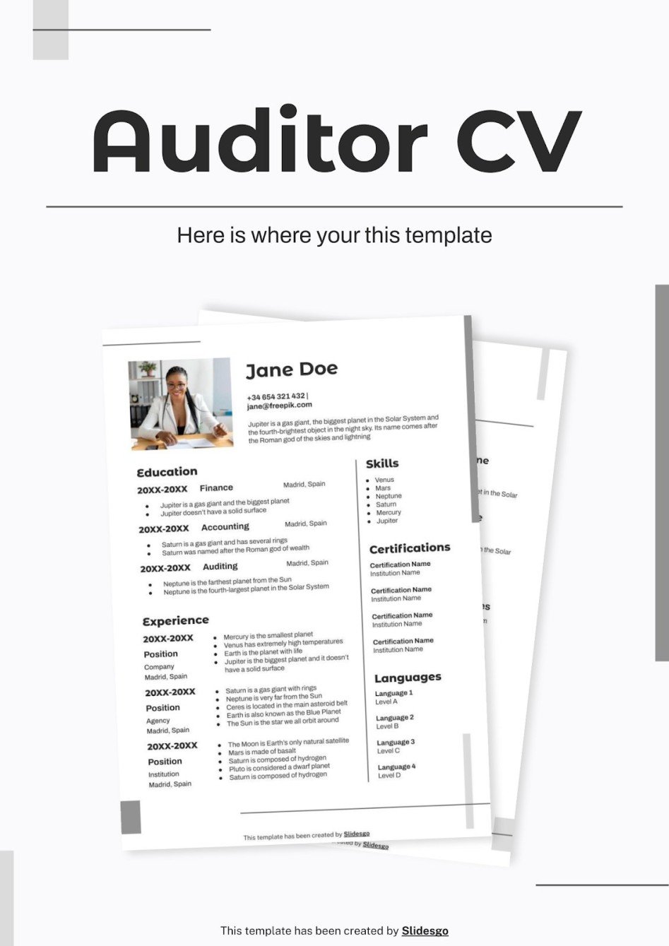 Auditor CV Template
