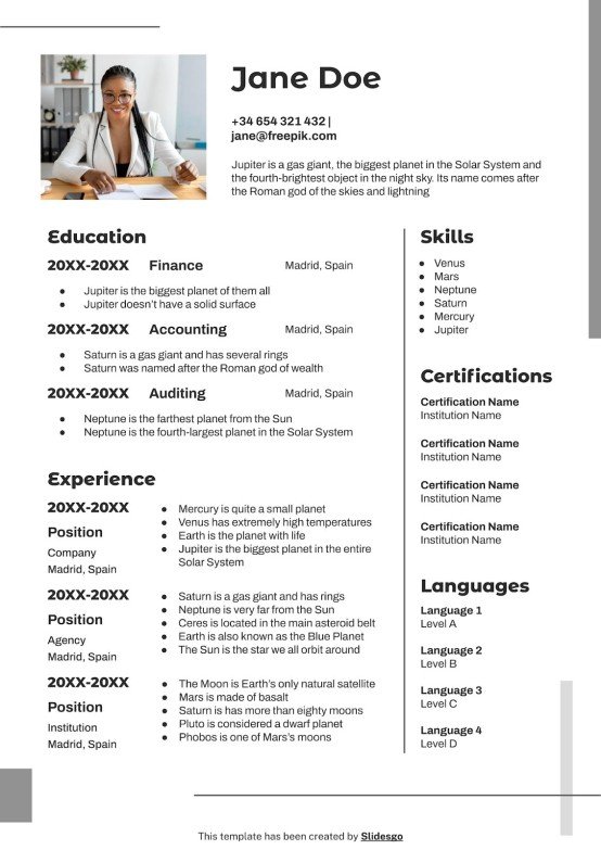 Auditor CV Template