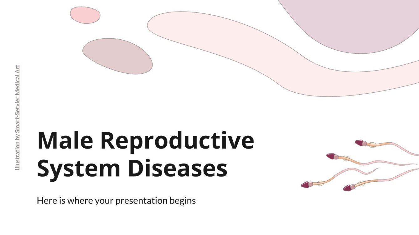Male Reproductive System Diseases Presentation