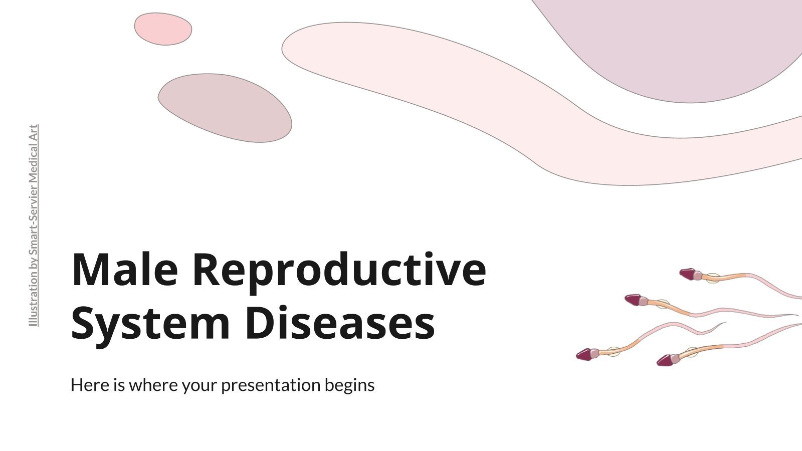 Male Reproductive System Diseases Presentation