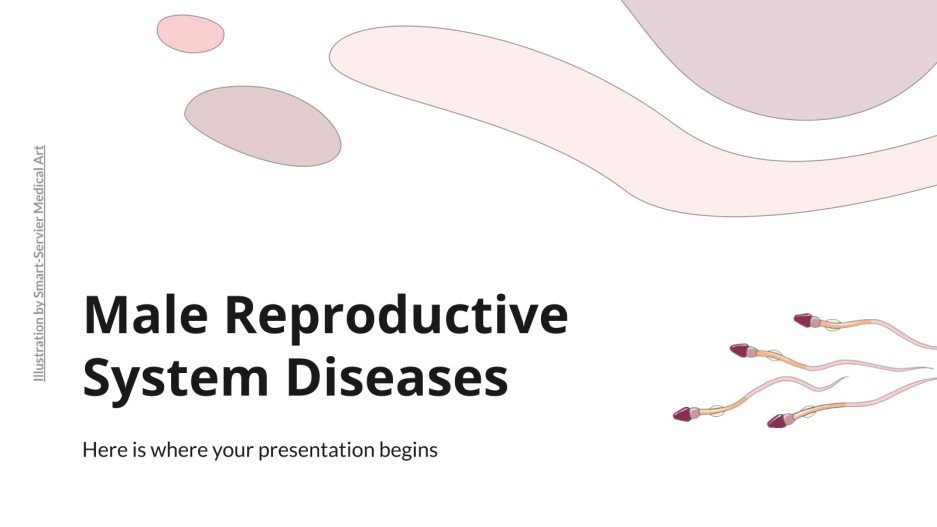 Male Reproductive System Diseases Presentation