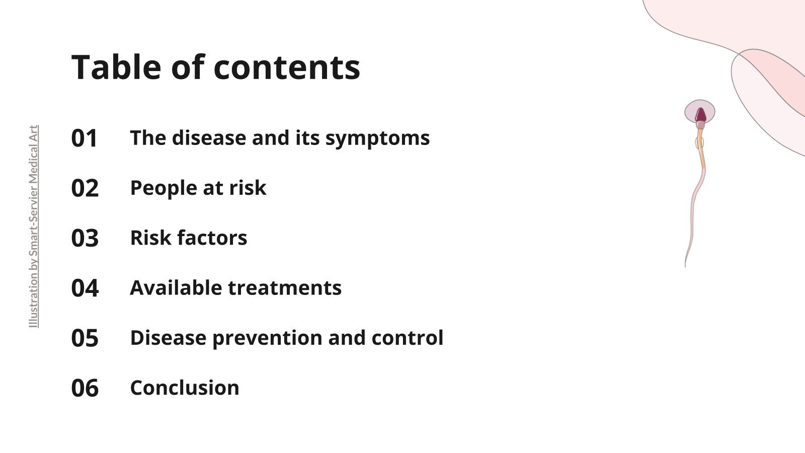 Male Reproductive System Diseases Presentation