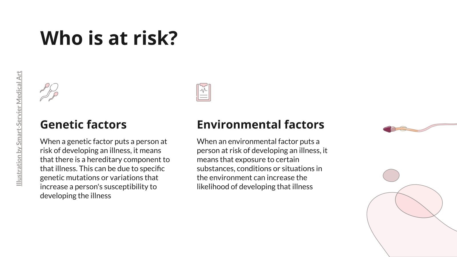 Male Reproductive System Diseases Presentation