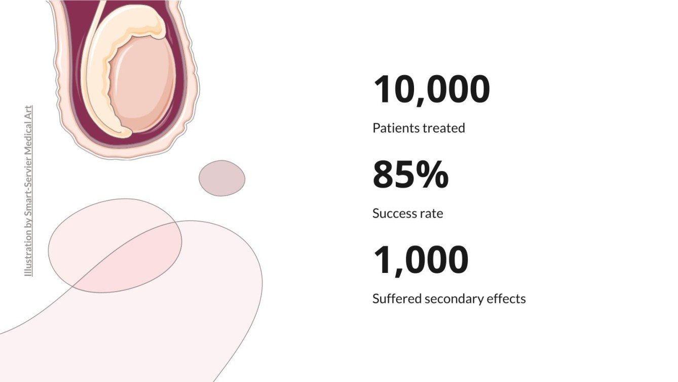 Male Reproductive System Diseases Presentation