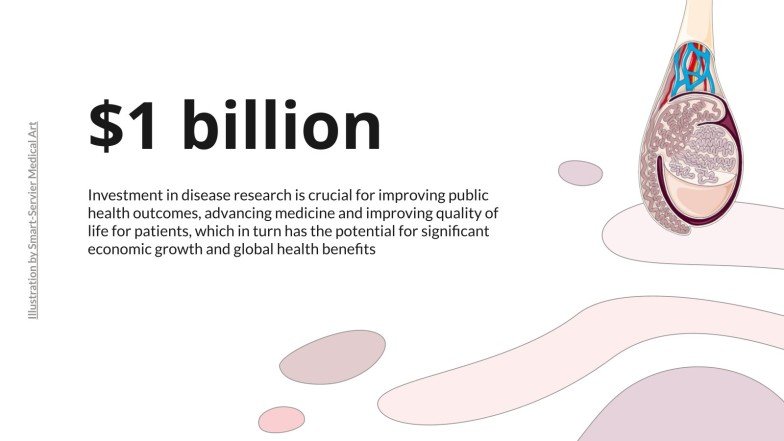 Male Reproductive System Diseases Presentation