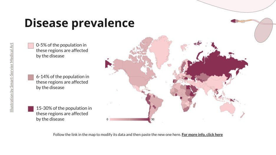 Male Reproductive System Diseases Presentation