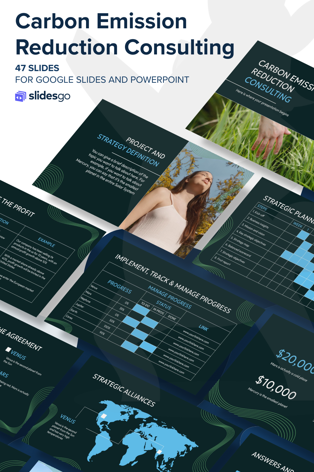 Carbon Emission Reduction Consulting Presentation