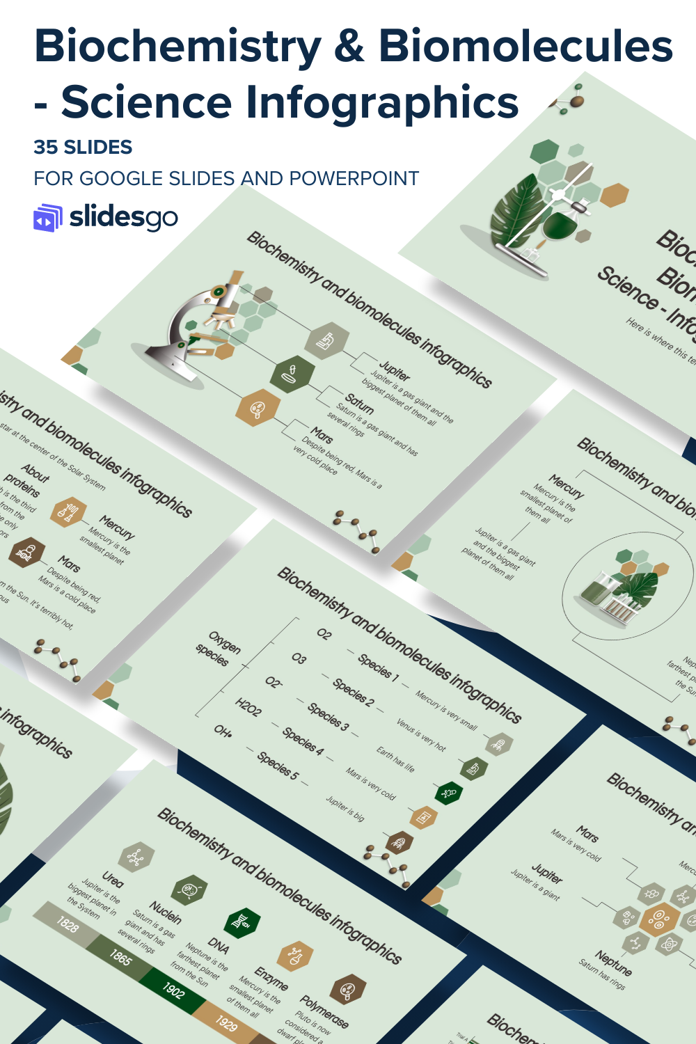 Biochemistry and Biomolecules- 9th Grade Infographics