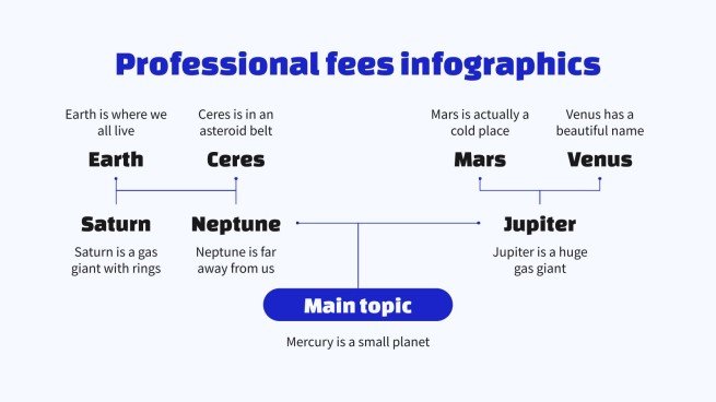 Professional Fees Marketing Plan Infographics