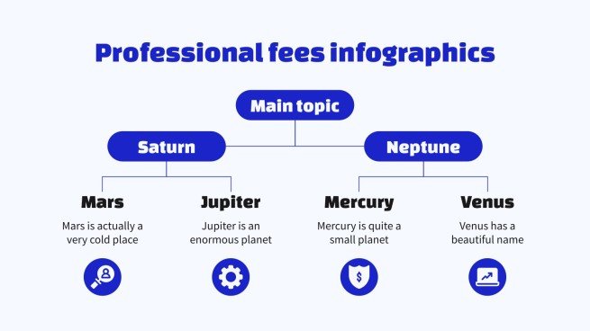 Professional Fees Marketing Plan Infographics