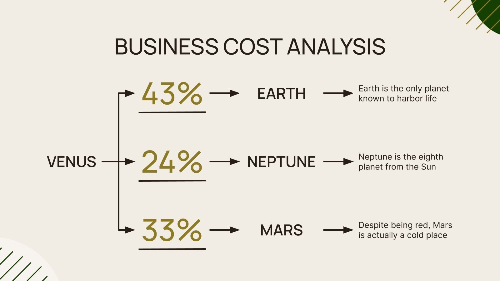 Business Cost Analysis Infographics