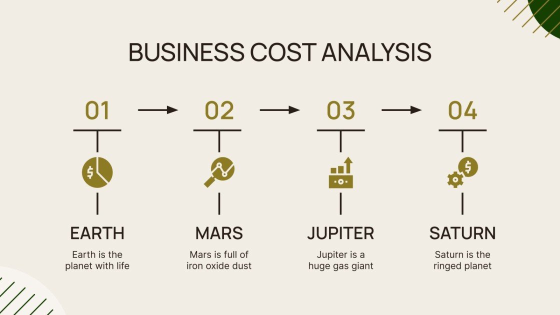 Business Cost Analysis Infographics