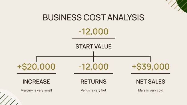 Business Cost Analysis Infographics