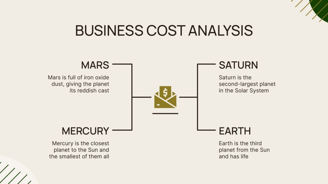 Business Cost Analysis Infographics