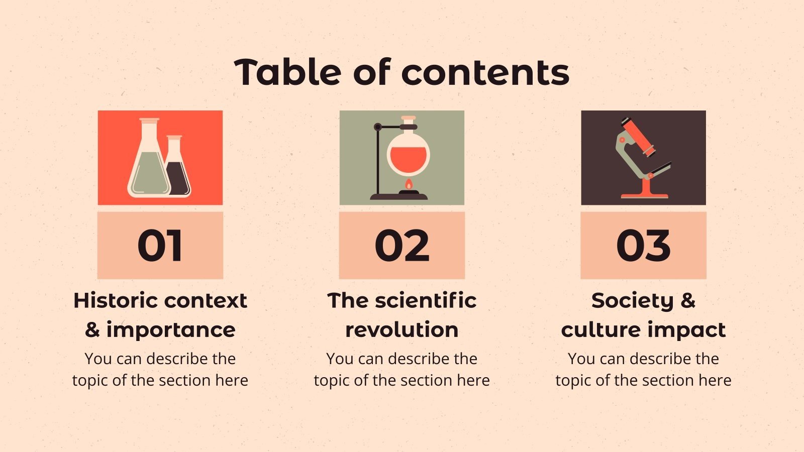 Enlightenment and Scientific Revolution - History