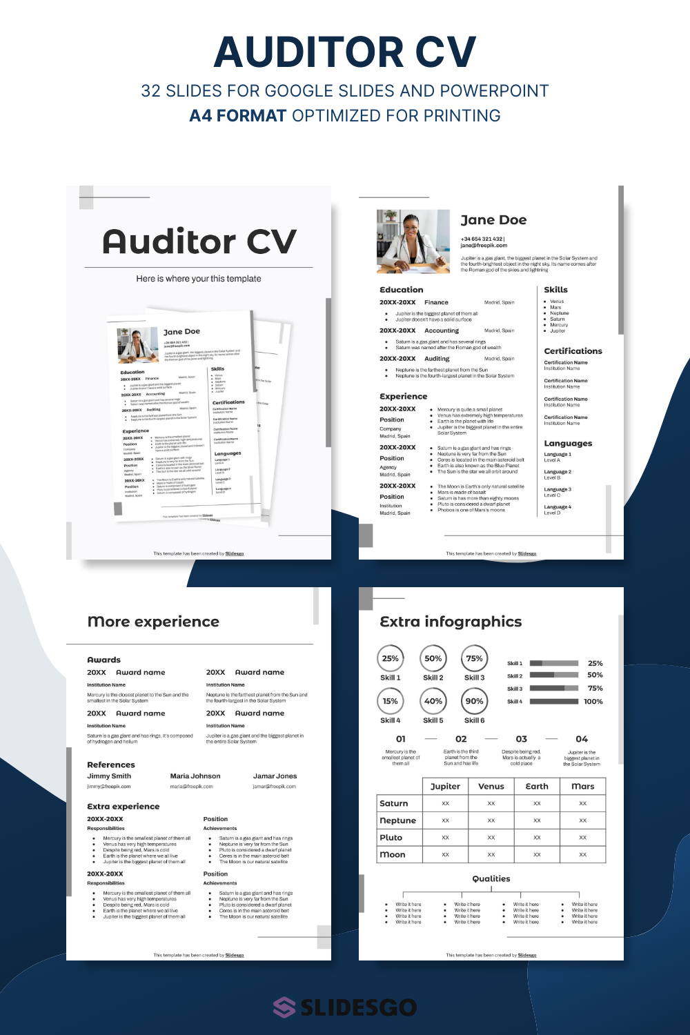 Auditor CV Template