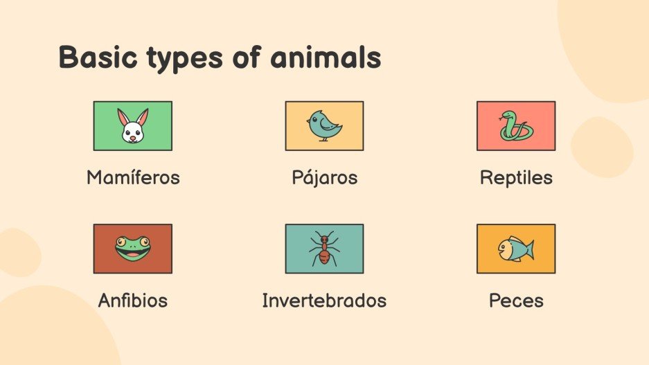 Animals and their Characteristics - Spanish - 1st Grade