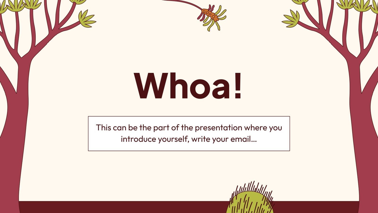 Australian Megafauna Presentation