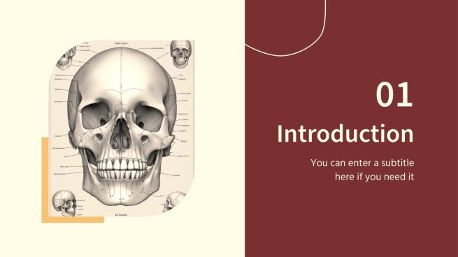 Human Anatomy and Physiology - Biology - 9th Grade