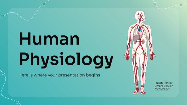 Human Physiology Presentation