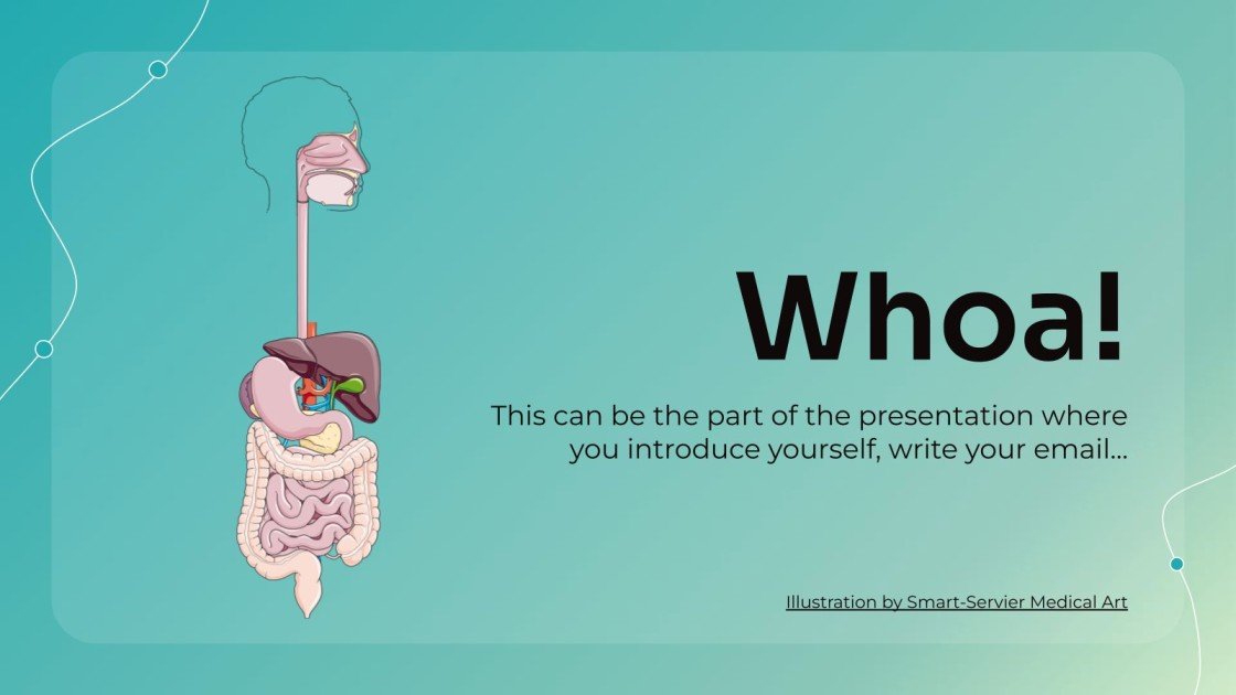 Human Physiology Presentation