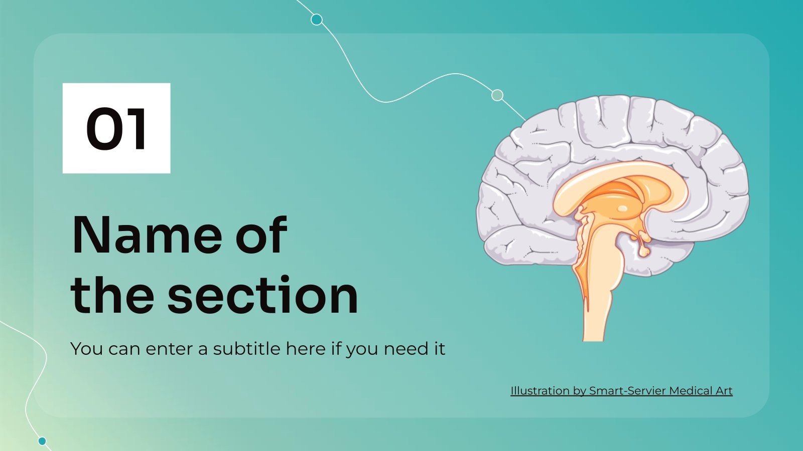 Human Physiology Presentation