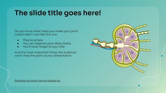 Human Physiology Presentation