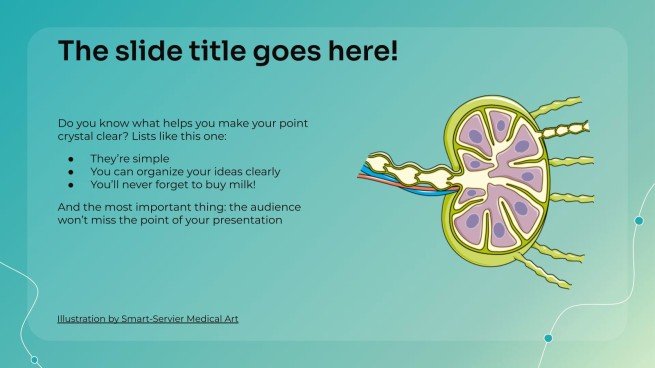 Human Physiology Presentation