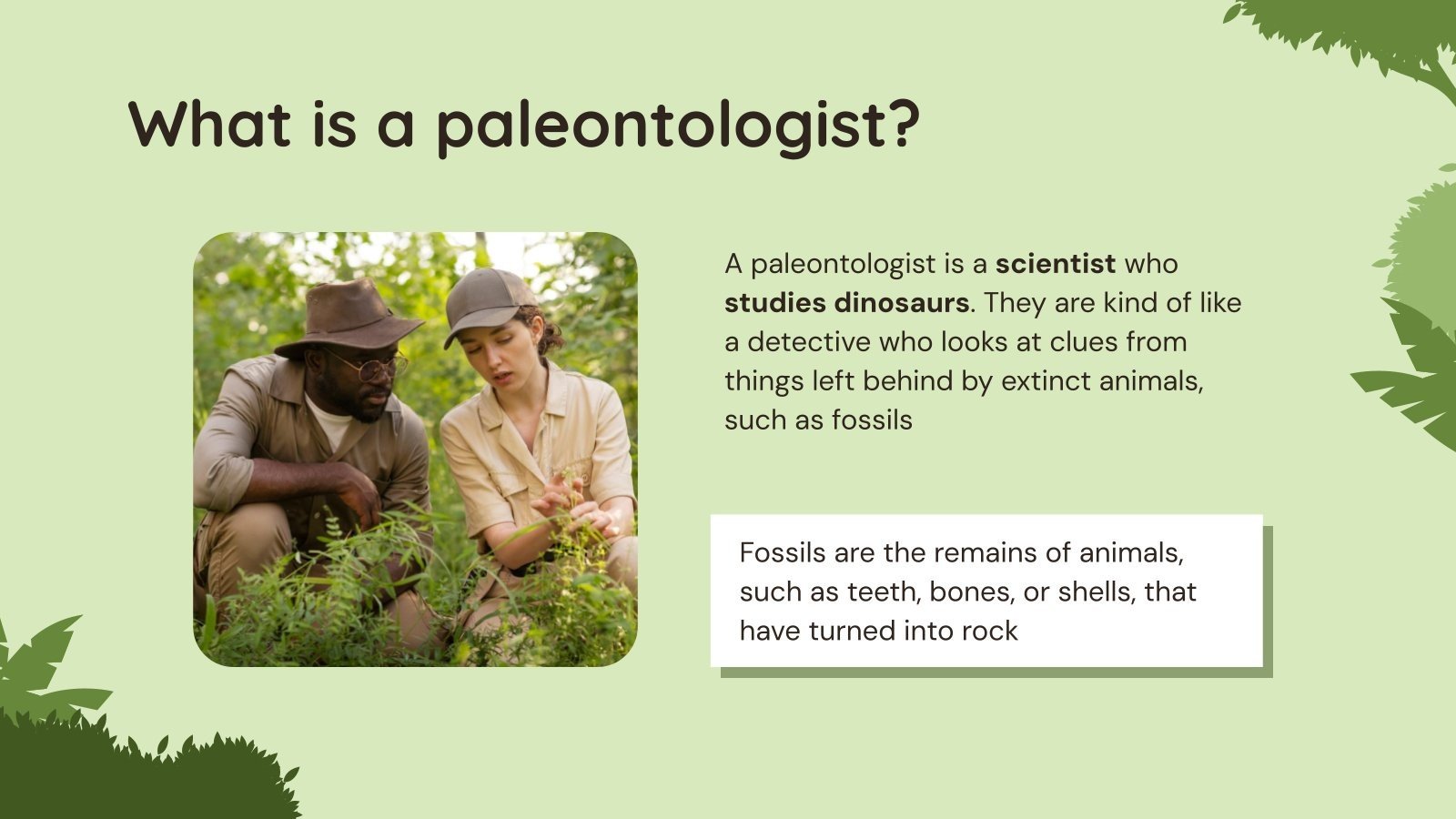 Paleontology 101: What is a Dinosaur? Presentation
