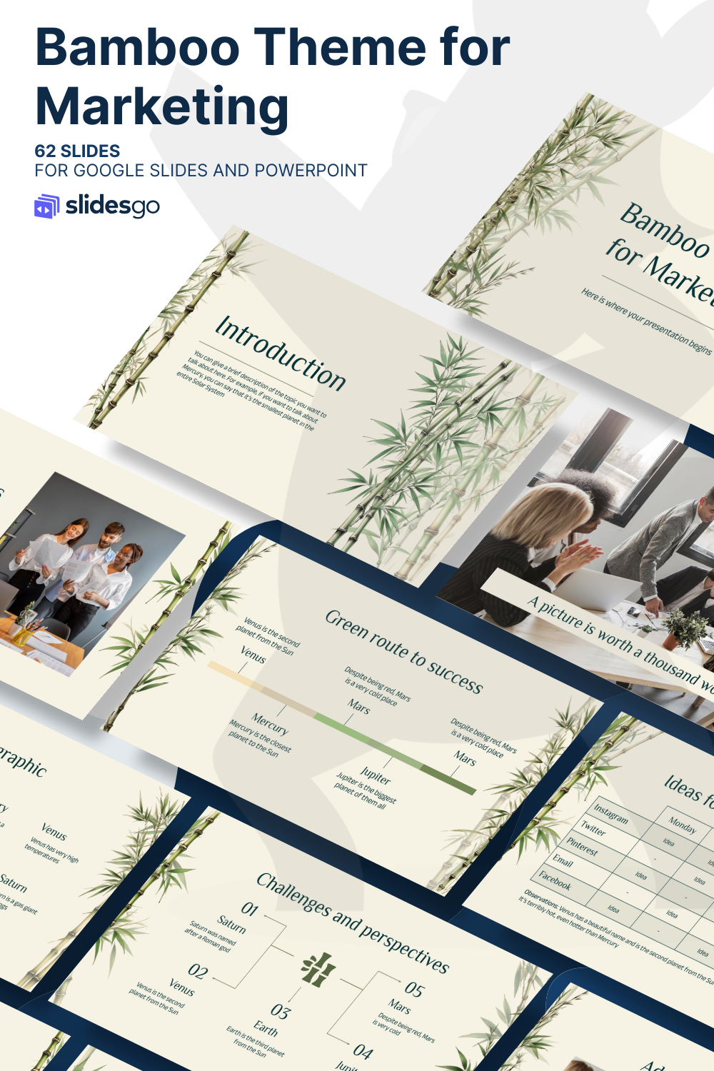 Bamboo Theme for Marketing Presentation