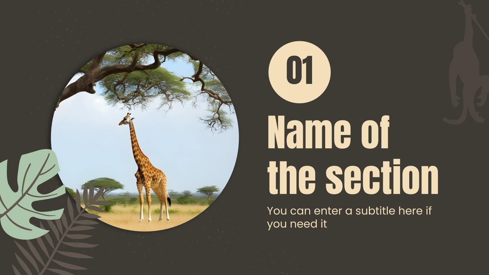 Charles Darwin Day Presentation